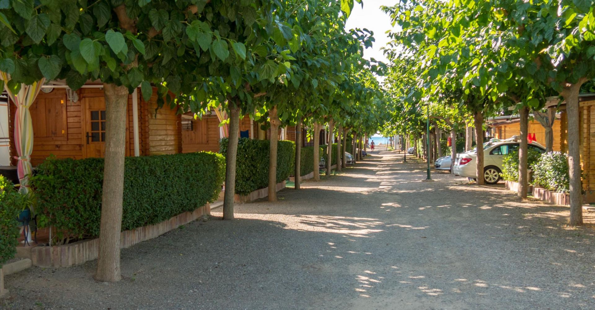 Camping Playa y Fiesta | Web officielle | Camping à la Costa Daurada